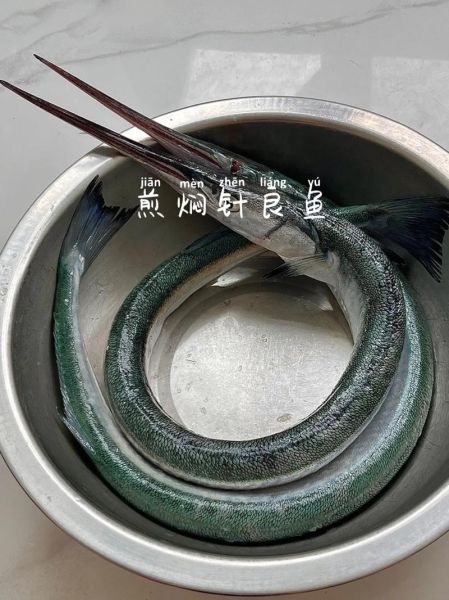 针鱼怎么做好吃_针鱼家常做法-第2张图片-山城妙识 针鱼怎么做好吃_针鱼家常做法-第2张图片-山城妙识