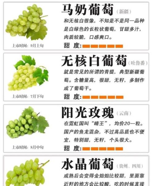 葡萄有什么营养价值_葡萄的功效与作用有哪些-第2张图片-山城妙识 葡萄有什么营养价值_葡萄的功效与作用有哪些-第2张图片-山城妙识
