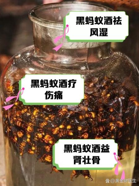 黑蚂蚁泡酒有什么功效_黑蚂蚁酒怎么泡效果最好-第2张图片-山城妙识 黑蚂蚁泡酒有什么功效_黑蚂蚁酒怎么泡效果最好-第2张图片-山城妙识