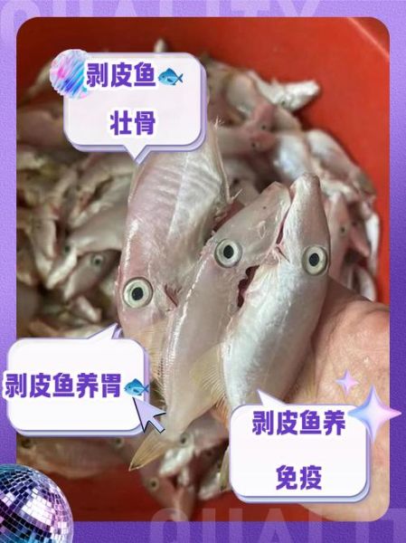 剥皮鱼怎么剥皮_剥皮鱼快速去皮技巧-第2张图片-山城妙识 剥皮鱼怎么剥皮_剥皮鱼快速去皮技巧-第2张图片-山城妙识