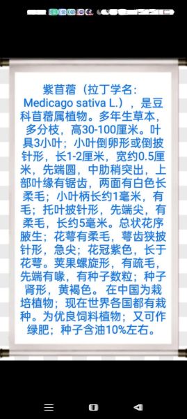 苜蓿园怎么读_苜蓿园属于哪个区-第3张图片-山城妙识 苜蓿园怎么读_苜蓿园属于哪个区-第3张图片-山城妙识