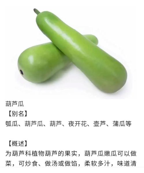 瓠怎么读_瓠是什么意思-第1张图片-山城妙识 瓠怎么读_瓠是什么意思-第1张图片-山城妙识