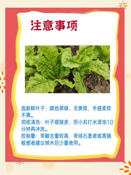 莴笋叶能吃吗_莴笋叶怎么吃最好-第1张图片-山城妙识 莴笋叶能吃吗_莴笋叶怎么吃最好-第1张图片-山城妙识