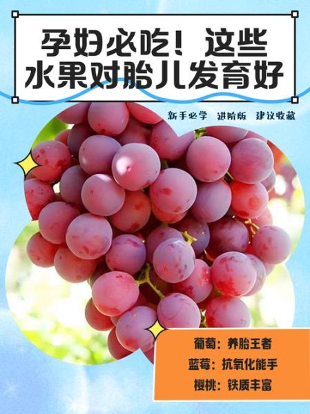 孕妇必吃十大水果有哪些_孕妇吃什么水果对胎儿好-第2张图片-山城妙识 孕妇必吃十大水果有哪些_孕妇吃什么水果对胎儿好-第2张图片-山城妙识