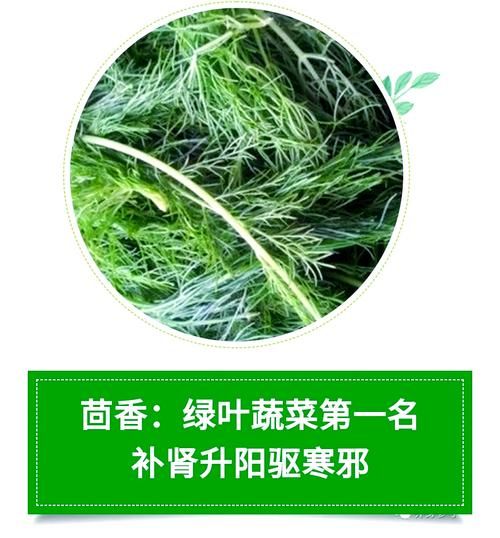 茴香降血压还是升血压_高血压能吃茴香吗-第2张图片-山城妙识 茴香降血压还是升血压_高血压能吃茴香吗-第2张图片-山城妙识