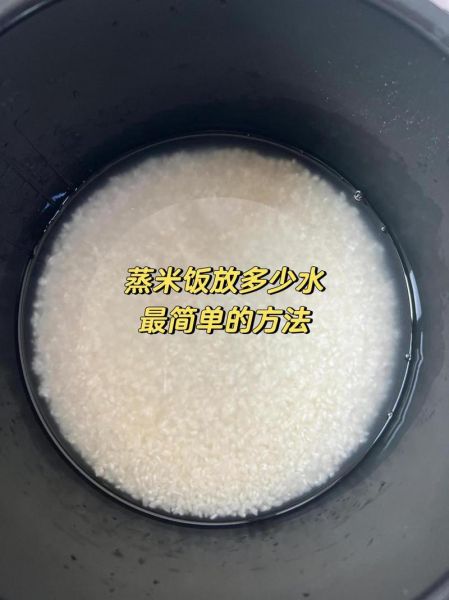 微波炉煮饭放多少水_水米比例是多少-第1张图片-山城妙识 微波炉煮饭放多少水_水米比例是多少-第1张图片-山城妙识