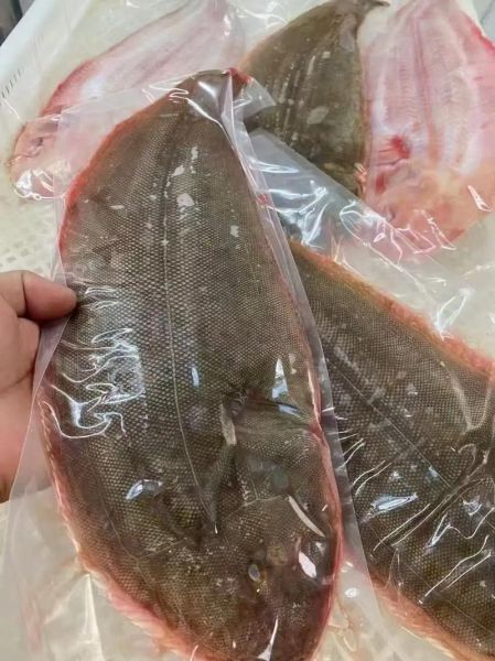 龙利鱼价格2020多少钱一斤_龙利鱼价格2020走势分析-第1张图片-山城妙识