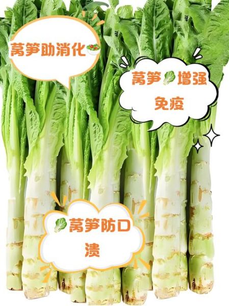 窝笋不能和什么一起吃_窝笋相克食物有哪些-第2张图片-山城妙识 窝笋不能和什么一起吃_窝笋相克食物有哪些-第2张图片-山城妙识