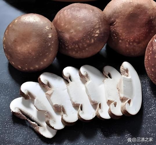 花菇和香菇一样吗_花菇与香菇区别在哪-第1张图片-山城妙识