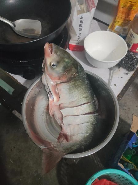 白鲢鱼怎么做好吃_正宗做法大全-第1张图片-山城妙识 白鲢鱼怎么做好吃_正宗做法大全-第1张图片-山城妙识