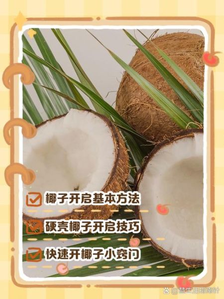 椰子喝完椰肉怎么吃_椰肉可以直接吃吗-第2张图片-山城妙识 椰子喝完椰肉怎么吃_椰肉可以直接吃吗-第2张图片-山城妙识