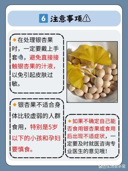 生白果怎么吃才安全_生白果去毒步骤-第3张图片-山城妙识 生白果怎么吃才安全_生白果去毒步骤-第3张图片-山城妙识