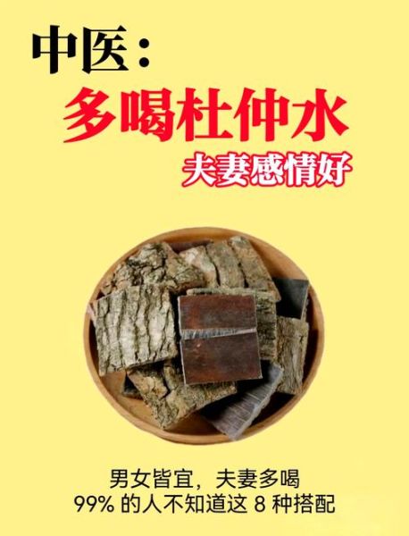 杜仲怎么吃_杜仲的吃法与用量-第1张图片-山城妙识 杜仲怎么吃_杜仲的吃法与用量-第1张图片-山城妙识