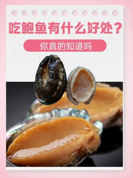 小鲍鱼的营养价值_小鲍鱼怎么吃最营养-第2张图片-山城妙识 小鲍鱼的营养价值_小鲍鱼怎么吃最营养-第2张图片-山城妙识