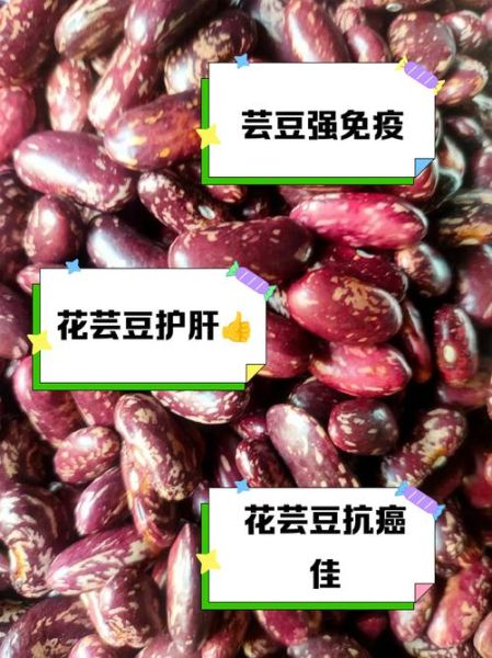 花芸豆的功效与作用_花芸豆怎么吃-第1张图片-山城妙识 花芸豆的功效与作用_花芸豆怎么吃-第1张图片-山城妙识