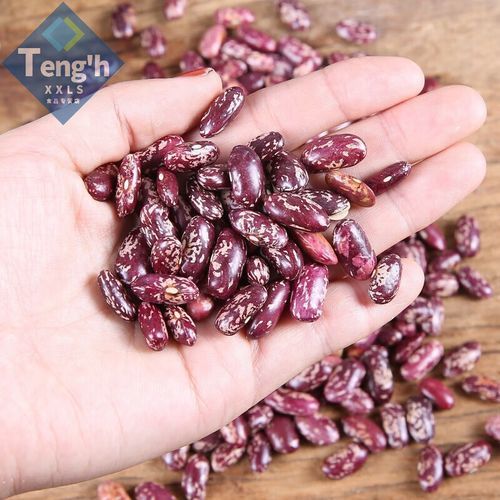 花芸豆的功效与作用_花芸豆怎么吃-第3张图片-山城妙识 花芸豆的功效与作用_花芸豆怎么吃-第3张图片-山城妙识