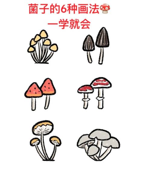 蘑菇图片大全卡通_蘑菇卡通图片怎么画-第1张图片-山城妙识 蘑菇图片大全卡通_蘑菇卡通图片怎么画-第1张图片-山城妙识
