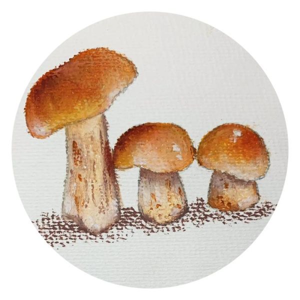 蘑菇图片大全卡通_蘑菇卡通图片怎么画-第3张图片-山城妙识 蘑菇图片大全卡通_蘑菇卡通图片怎么画-第3张图片-山城妙识