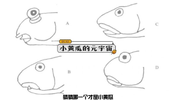 虾虎鱼种类图鉴_如何区分常见虾虎鱼-第2张图片-山城妙识 虾虎鱼种类图鉴_如何区分常见虾虎鱼-第2张图片-山城妙识