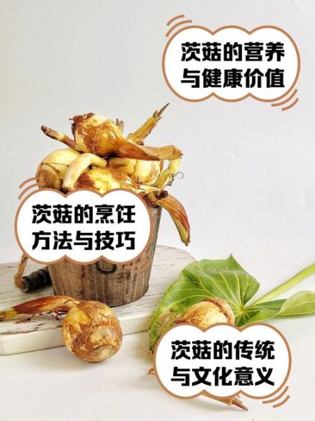 茨菇怎么做好吃_茨菇的营养价值与功效-第1张图片-山城妙识