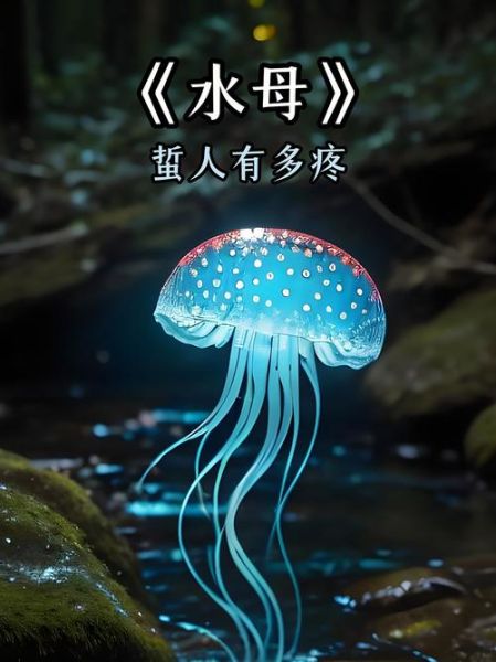 水母能吃吗_海蜇是水母吗-第3张图片-山城妙识 水母能吃吗_海蜇是水母吗-第3张图片-山城妙识