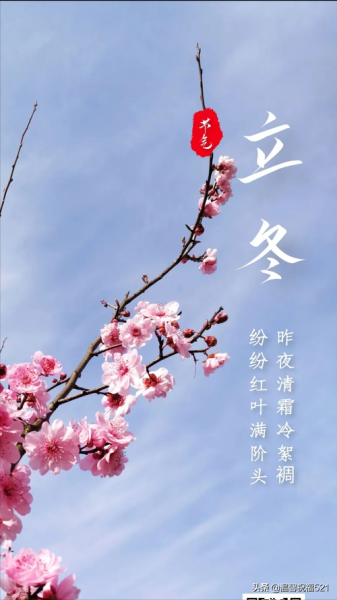 立冬最美的图片在哪里找_立冬摄影技巧有哪些-第3张图片-山城妙识 立冬最美的图片在哪里找_立冬摄影技巧有哪些-第3张图片-山城妙识