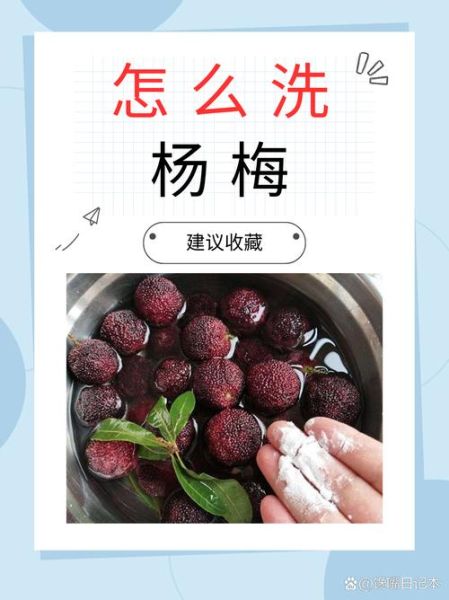 杨梅怎么洗才能洗干净_衣服沾上杨梅汁怎么办-第3张图片-山城妙识