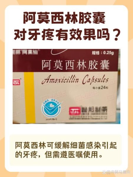 感冒吃阿莫西林有用吗_感冒要不要吃阿莫西林-第3张图片-山城妙识 感冒吃阿莫西林有用吗_感冒要不要吃阿莫西林-第3张图片-山城妙识