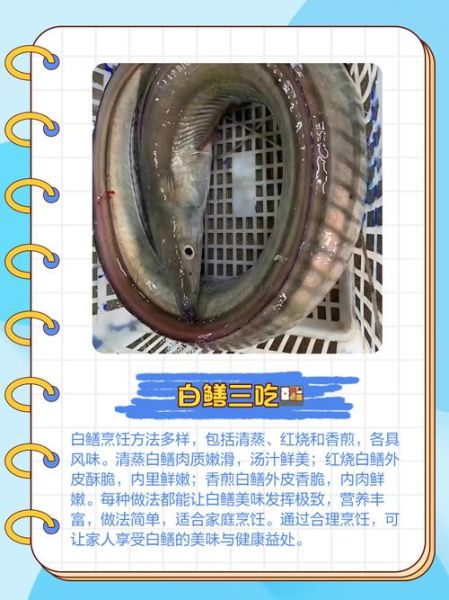 淡水白鳝鱼图片_如何分辨真假-第2张图片-山城妙识 淡水白鳝鱼图片_如何分辨真假-第2张图片-山城妙识