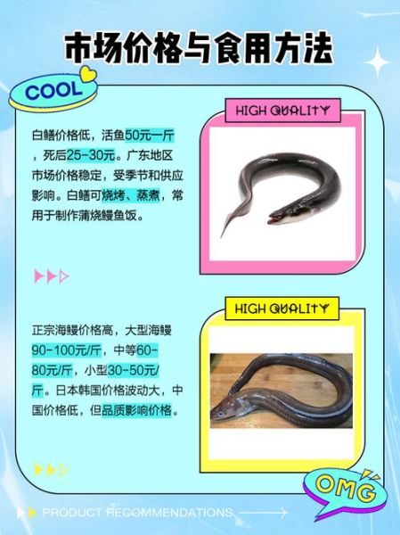 淡水白鳝鱼图片_如何分辨真假-第1张图片-山城妙识 淡水白鳝鱼图片_如何分辨真假-第1张图片-山城妙识