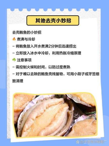 鲍鱼壳可以做什么_鲍鱼壳怎么处理-第1张图片-山城妙识 鲍鱼壳可以做什么_鲍鱼壳怎么处理-第1张图片-山城妙识