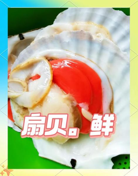 冷冻的扇贝粉丝怎么蒸_冷冻扇贝蒸多久才熟-第2张图片-山城妙识 冷冻的扇贝粉丝怎么蒸_冷冻扇贝蒸多久才熟-第2张图片-山城妙识