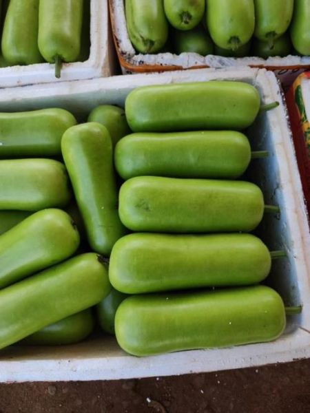 葫芦瓜图片怎么拍_葫芦瓜高清图哪里找-第2张图片-山城妙识 葫芦瓜图片怎么拍_葫芦瓜高清图哪里找-第2张图片-山城妙识