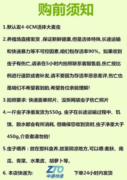 面包虫人可以吃吗_面包虫营养价值-第3张图片-山城妙识 面包虫人可以吃吗_面包虫营养价值-第3张图片-山城妙识
