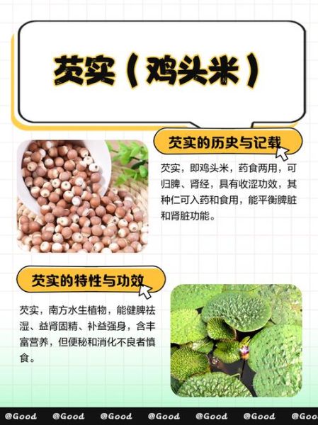 芡实长什么样子_芡实图片特征详解-第1张图片-山城妙识 芡实长什么样子_芡实图片特征详解-第1张图片-山城妙识