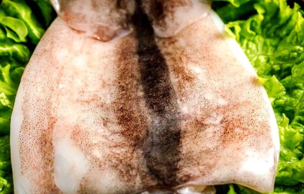 鱿鱼怎么泡发才软嫩_干鱿鱼快速泡发技巧-第3张图片-山城妙识 鱿鱼怎么泡发才软嫩_干鱿鱼快速泡发技巧-第3张图片-山城妙识