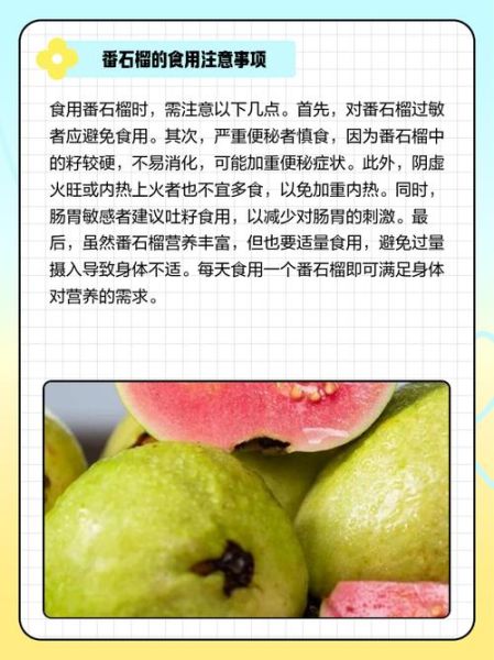 番石榴籽可以吃吗_番石榴籽的功效与作用-第1张图片-山城妙识 番石榴籽可以吃吗_番石榴籽的功效与作用-第1张图片-山城妙识