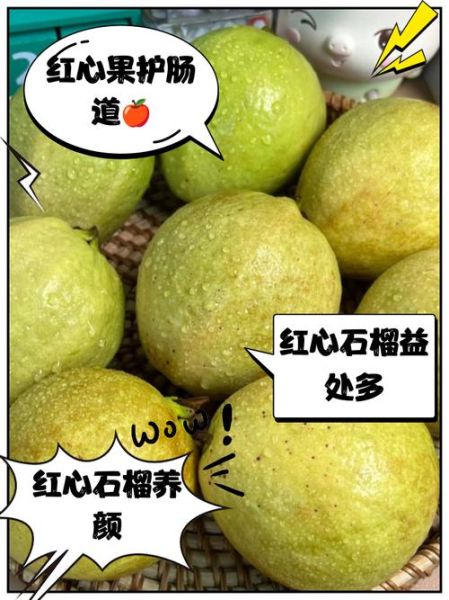 红心番石榴的功效与作用_红心番石榴的禁忌有哪些-第1张图片-山城妙识 红心番石榴的功效与作用_红心番石榴的禁忌有哪些-第1张图片-山城妙识