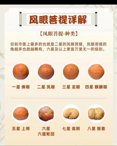 凤眼菩提图片_如何辨别真假-第1张图片-山城妙识 凤眼菩提图片_如何辨别真假-第1张图片-山城妙识