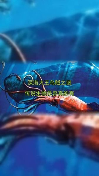 大王乌贼真的存在吗_大王乌贼有多恐怖-第2张图片-山城妙识 大王乌贼真的存在吗_大王乌贼有多恐怖-第2张图片-山城妙识
