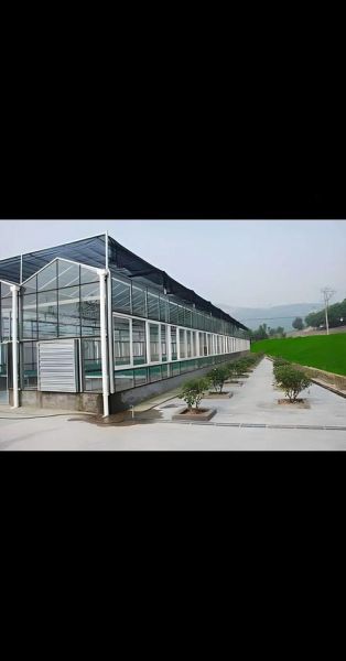 蔬菜温室大棚造价多少钱_蔬菜温室大棚造价明细表-第3张图片-山城妙识 蔬菜温室大棚造价多少钱_蔬菜温室大棚造价明细表-第3张图片-山城妙识