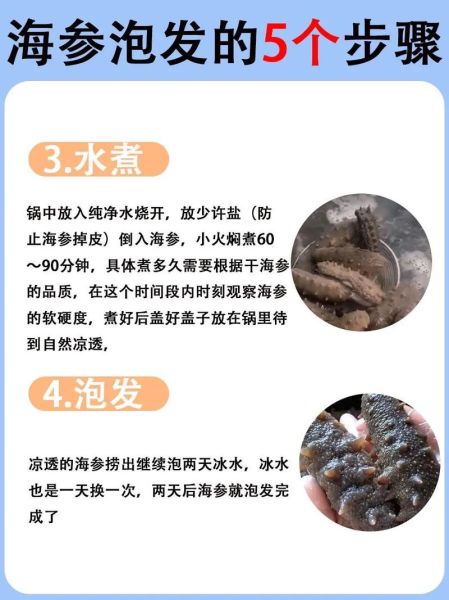 发干海参最好方法_干海参怎么泡发最快-第3张图片-山城妙识