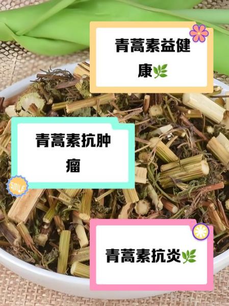 青蒿素的功效与作用_青蒿素副作用有哪些-第3张图片-山城妙识 青蒿素的功效与作用_青蒿素副作用有哪些-第3张图片-山城妙识