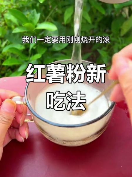 红薯粉怎么煮不糊_红薯粉的家常做法大全-第1张图片-山城妙识