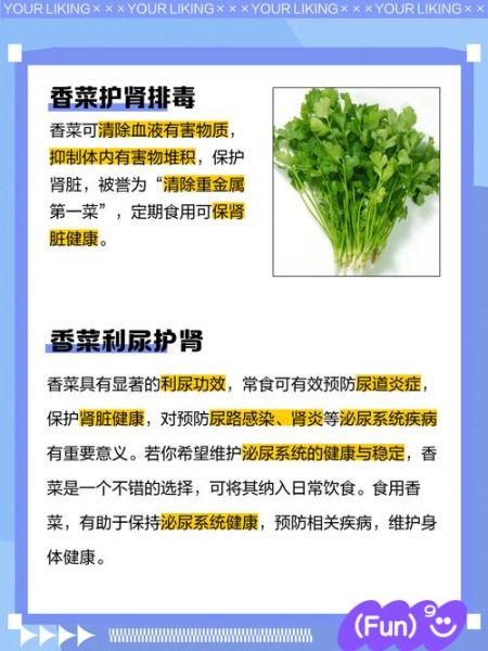 香菜的功效与作用_香菜怎么吃最营养-第3张图片-山城妙识 香菜的功效与作用_香菜怎么吃最营养-第3张图片-山城妙识