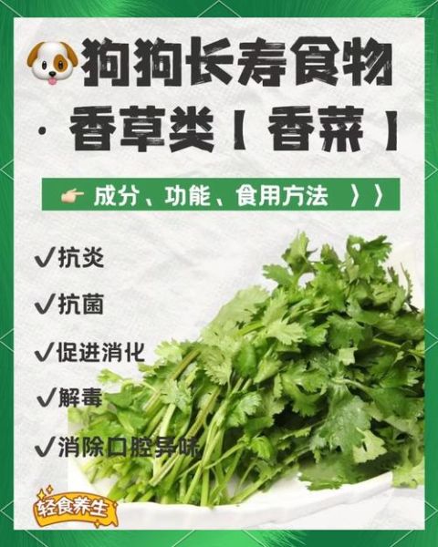香菜的功效与作用_香菜怎么吃最营养-第1张图片-山城妙识 香菜的功效与作用_香菜怎么吃最营养-第1张图片-山城妙识
