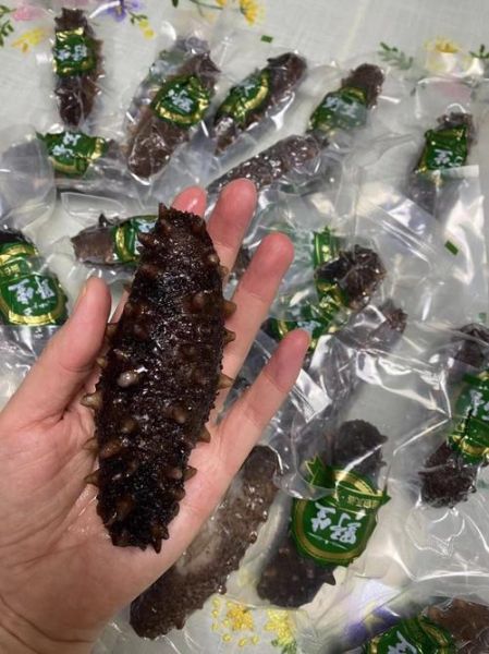 大连海参品种有哪些_大连海参价格多少钱一斤-第2张图片-山城妙识 大连海参品种有哪些_大连海参价格多少钱一斤-第2张图片-山城妙识