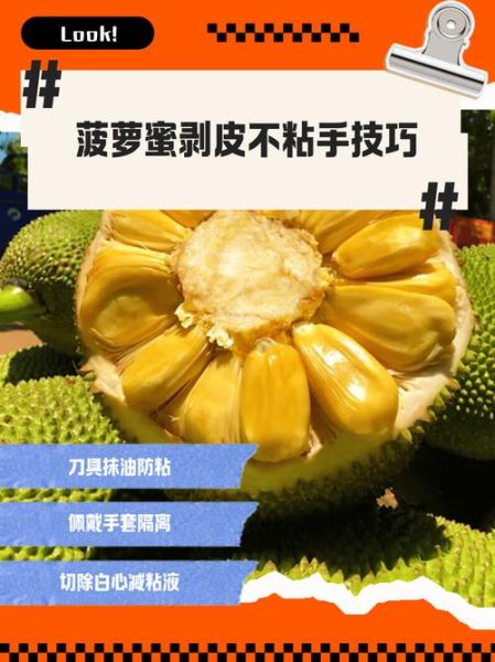 吃菠萝蜜的正确方法_菠萝蜜怎么剥皮不粘手-第1张图片-山城妙识 吃菠萝蜜的正确方法_菠萝蜜怎么剥皮不粘手-第1张图片-山城妙识
