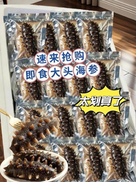 大连海参品种有哪些_大连海参价格多少钱一斤-第3张图片-山城妙识 大连海参品种有哪些_大连海参价格多少钱一斤-第3张图片-山城妙识
