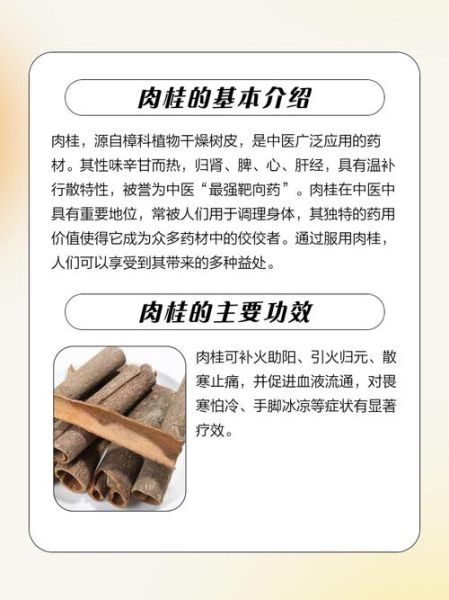 肉桂的功效与作用_肉桂主治哪些疾病-第2张图片-山城妙识 肉桂的功效与作用_肉桂主治哪些疾病-第2张图片-山城妙识